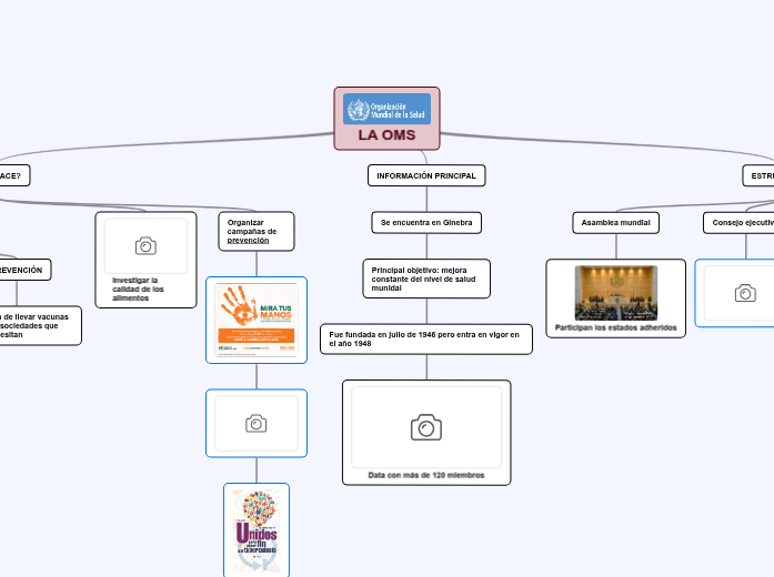 LA OMS - Mind Map